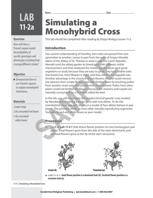 Kendall Hunt Publishing Company - ByDesign Biology Lab Manual Chapter ...