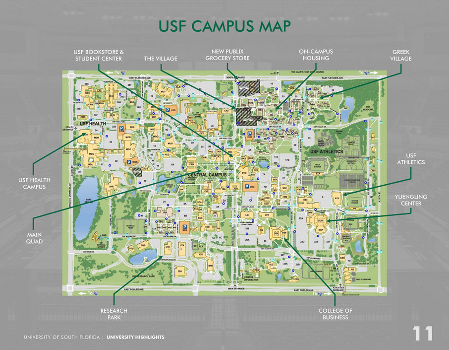 Usf Campus Map PDF Wellness Medical 53 OFF Usf Campus Map PDF Wellness Medical 53 OFF