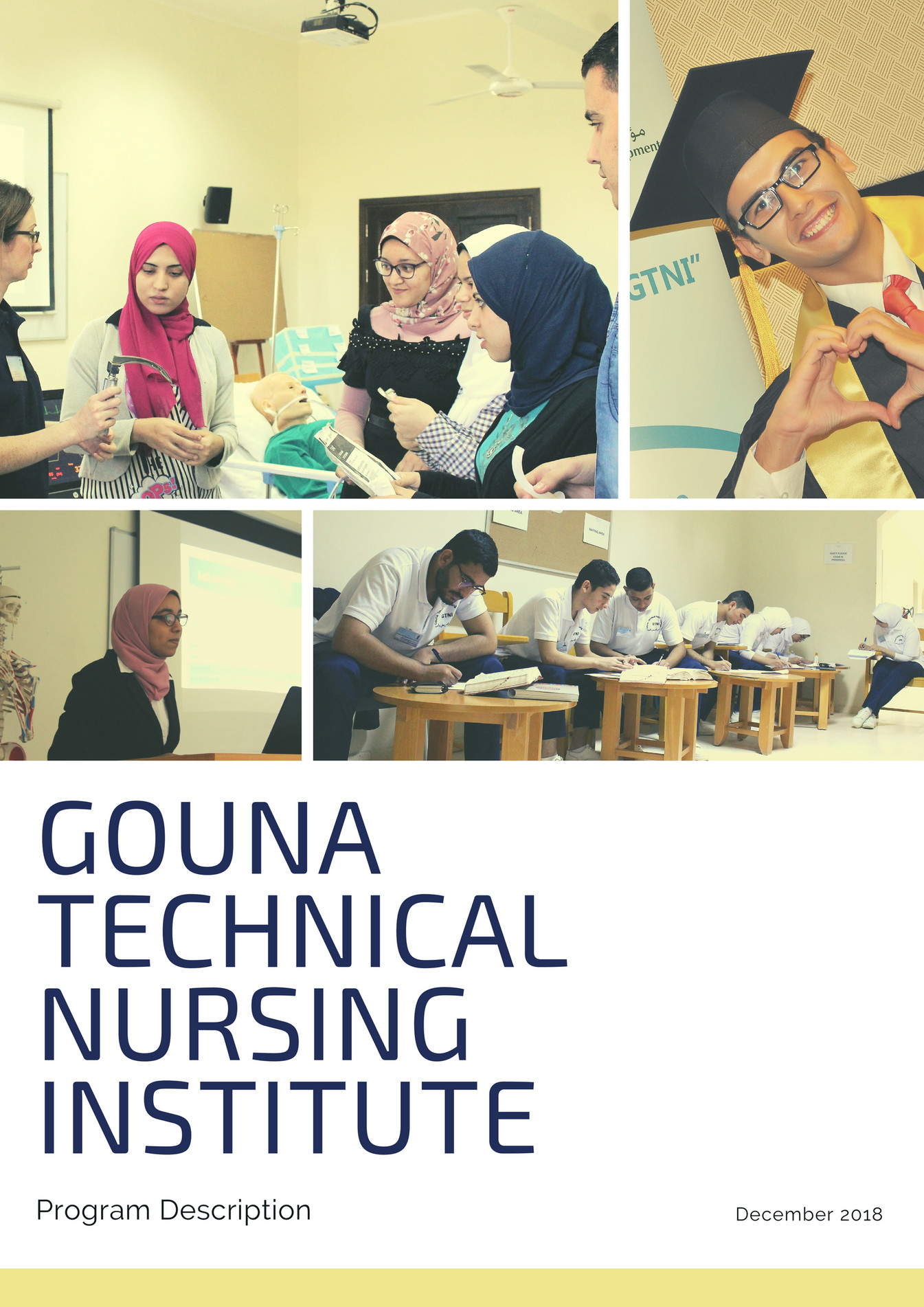 Gouna Technical Nursing Institute - Program Description - Page 1 ...