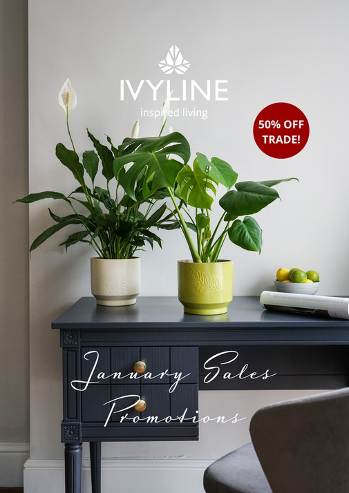 Ivyline - January Sale 2025 - Page 1 - Created with Publitas.com