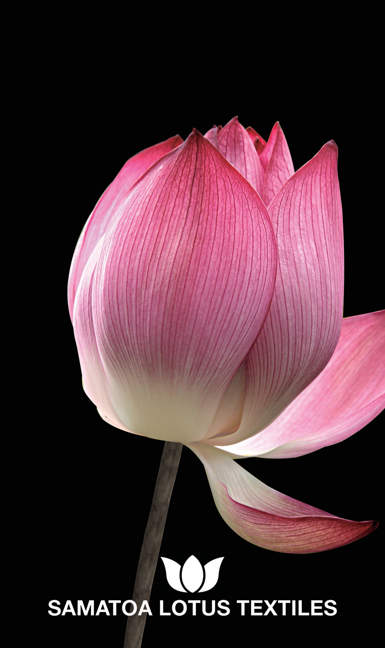 Samatoa Lotus Textiles - CATALOGUE - SAMATOA LOTUS TEXTILES - Page 1 ...