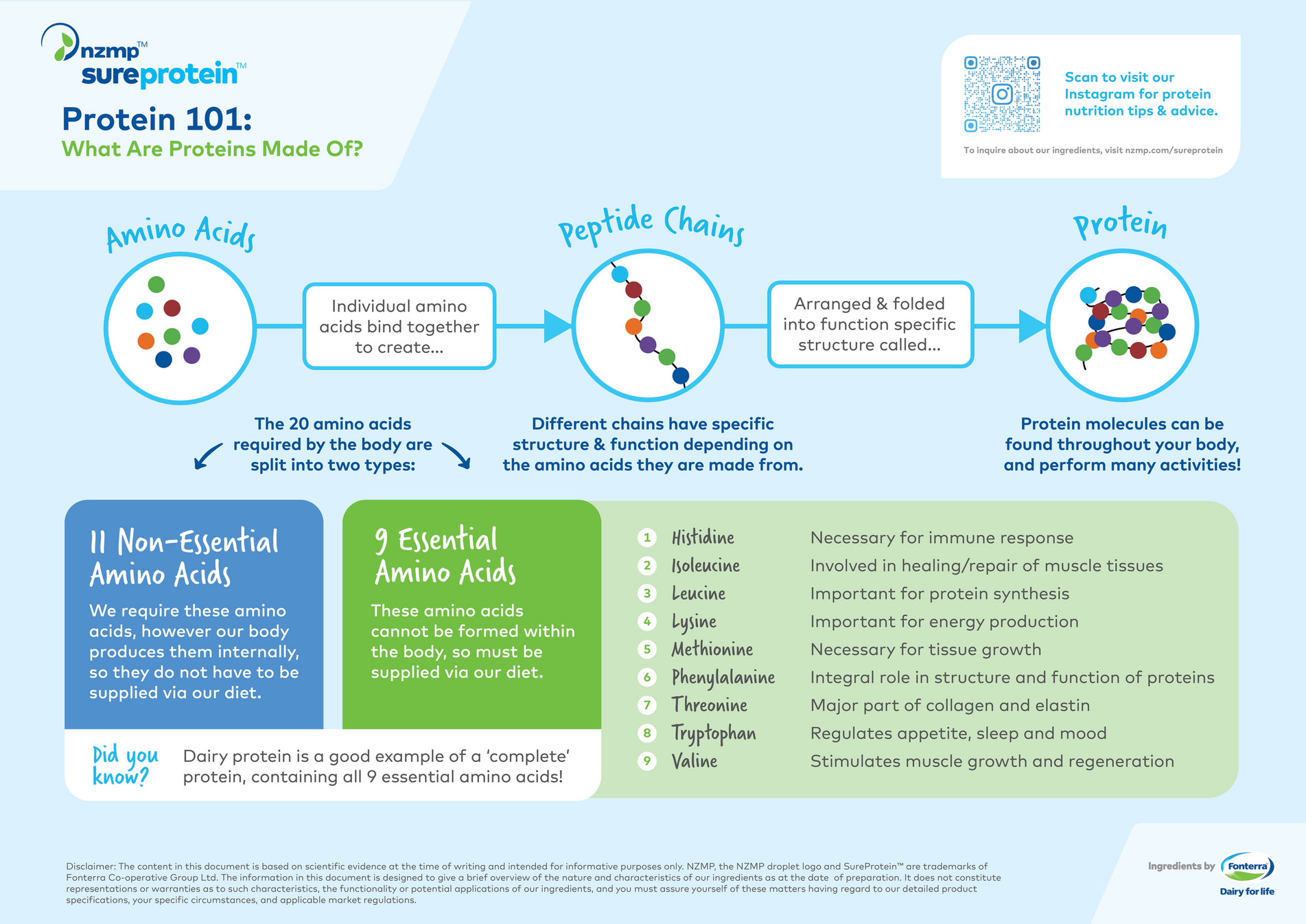NZMP - NZMP SureProtein | Infographic | What Are Proteins - Page 1