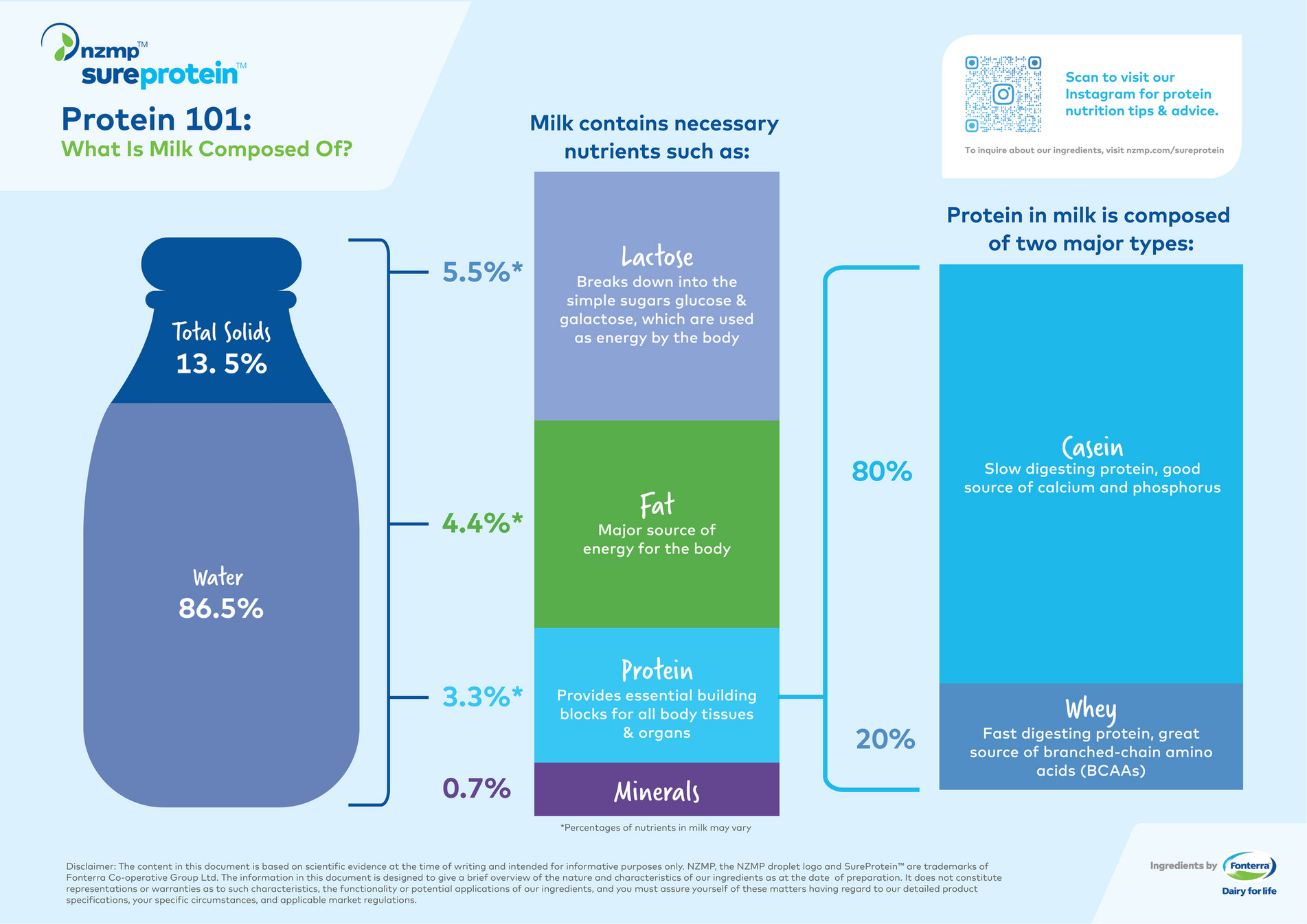 NZMP - NZMP SureProtein | Infographic | What Is Milk Composed Of - Page 1