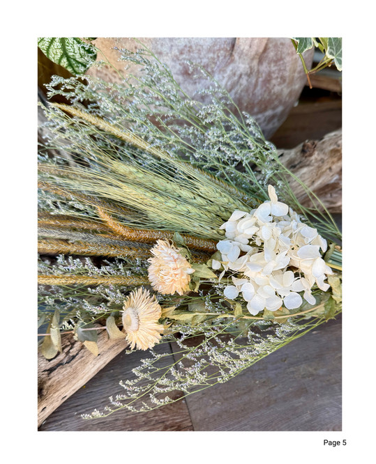 Collins Fresh + Original - 2025 Collins EV Snapshot Book consumer ...