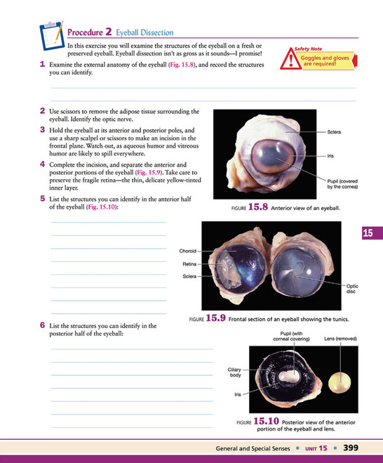 My publications - Exploring Anatomy & Physiology in the Laboratory 3rd ...