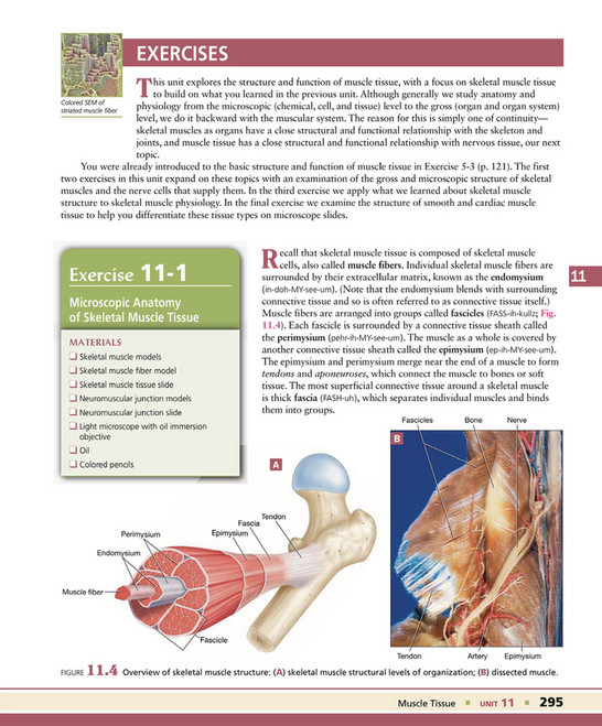 My publications - Exploring Anatomy & Physiology in the Laboratory 3rd ...