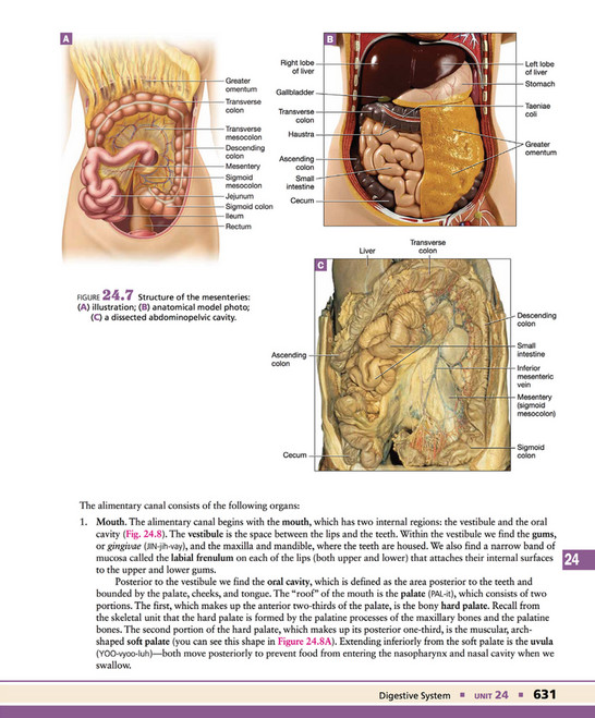 My publications - Exploring Anatomy & Physiology in the Laboratory 3rd ...