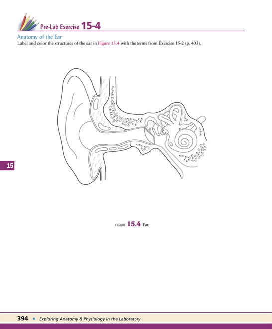 My publications - Exploring Anatomy & Physiology in the Laboratory 3rd ...