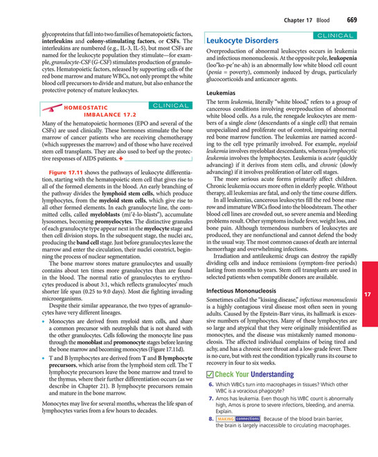 My publications - Elaine N. Marieb, Katja N. Hoehn - Human Anatomy ...