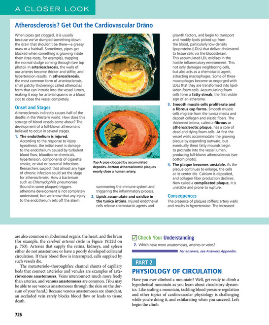 My publications - Elaine N. Marieb, Katja N. Hoehn - Human Anatomy ...