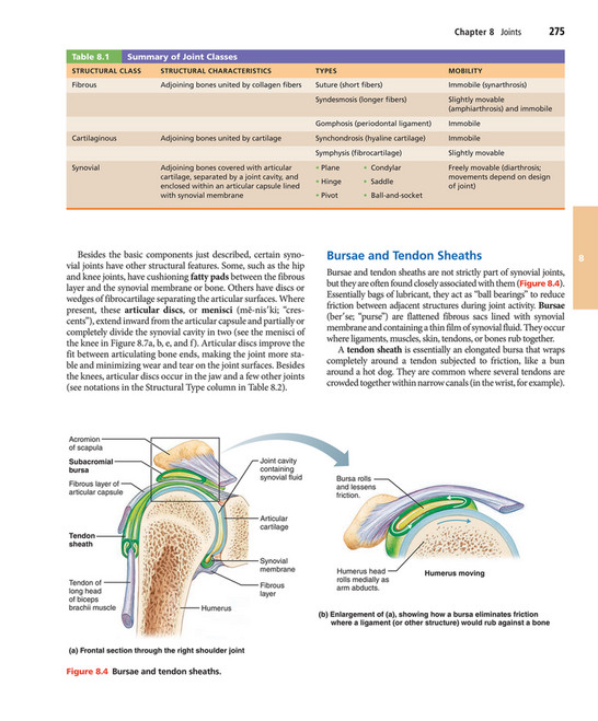 My publications - Elaine N. Marieb, Katja N. Hoehn - Human Anatomy ...