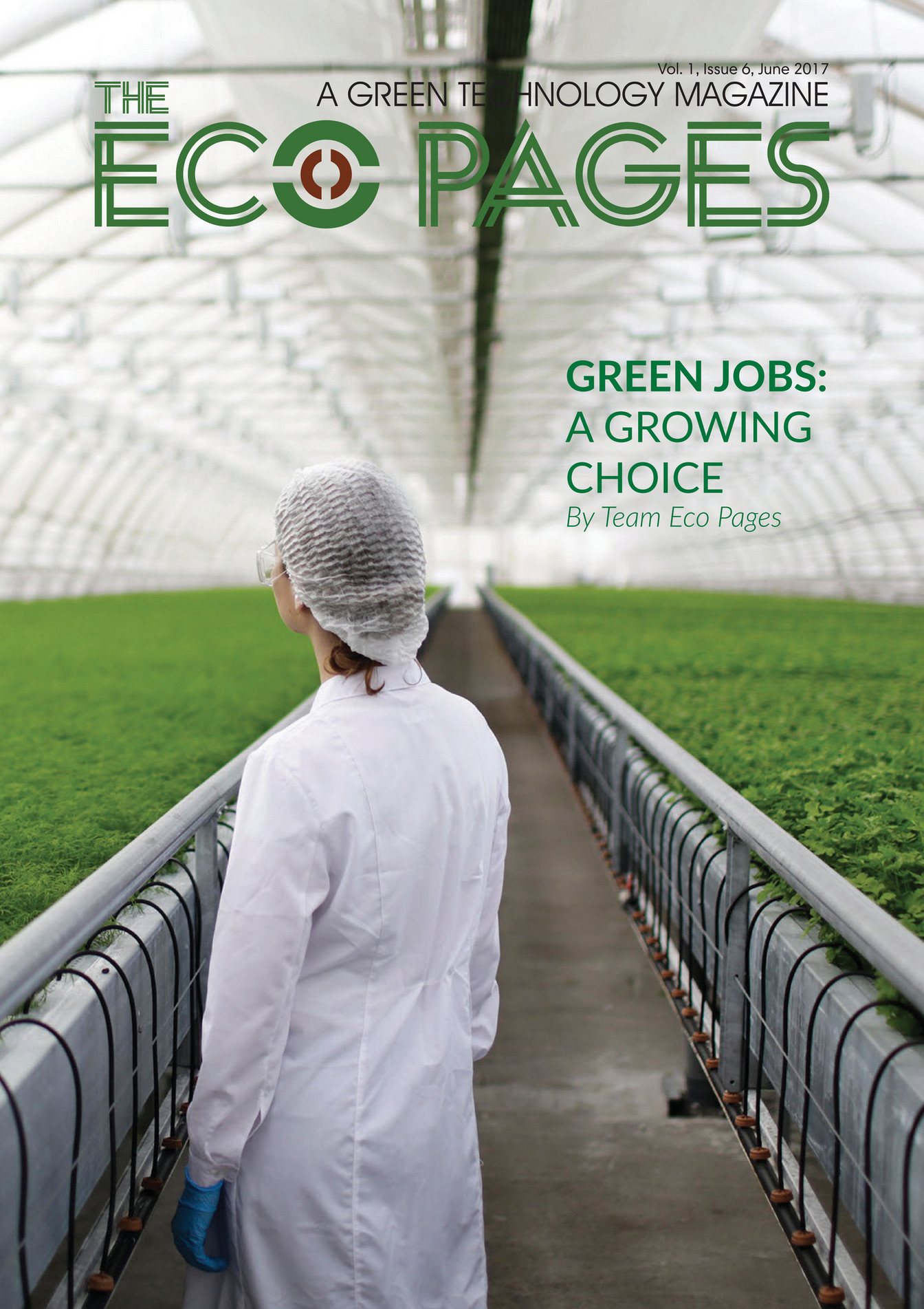 The Eco Pages The Eco Pages June 17 Issue Page 1 Created With