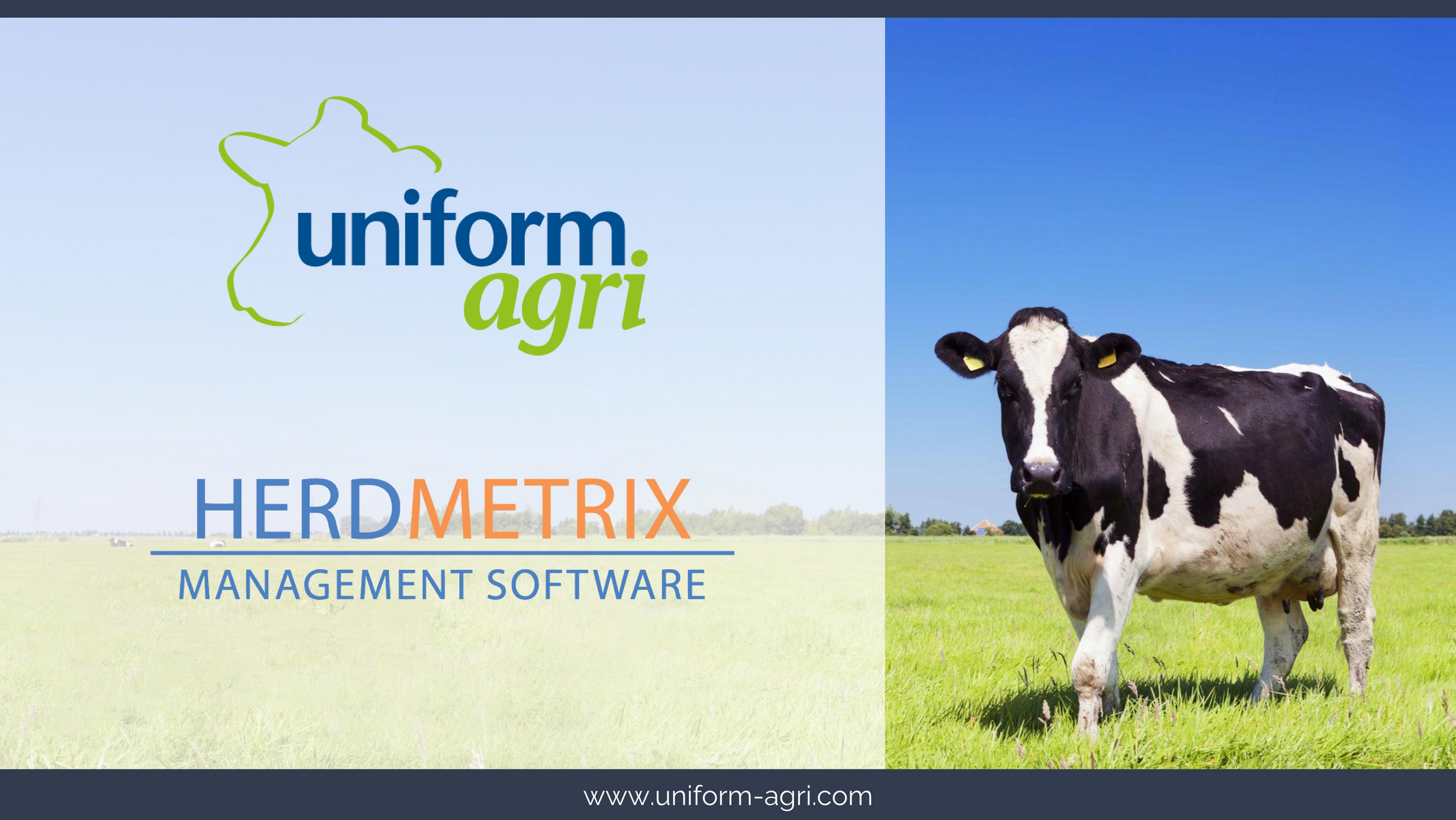 My publications - HerdMetrix Countrylink NL - Page 1 - Created with Publitas.com