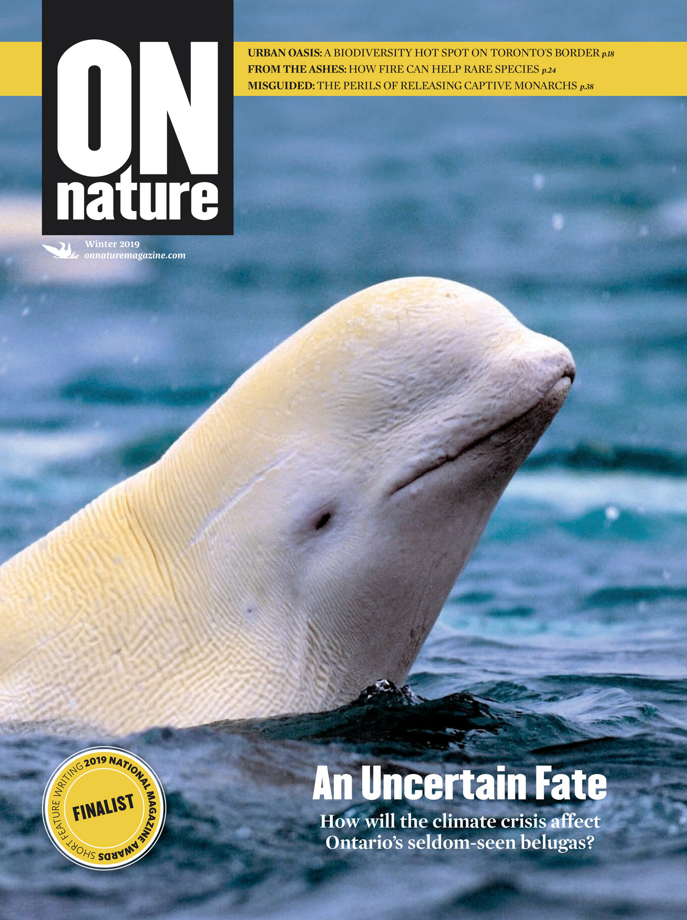 ON Nature magazine - Winter 2019 - Page 38-39