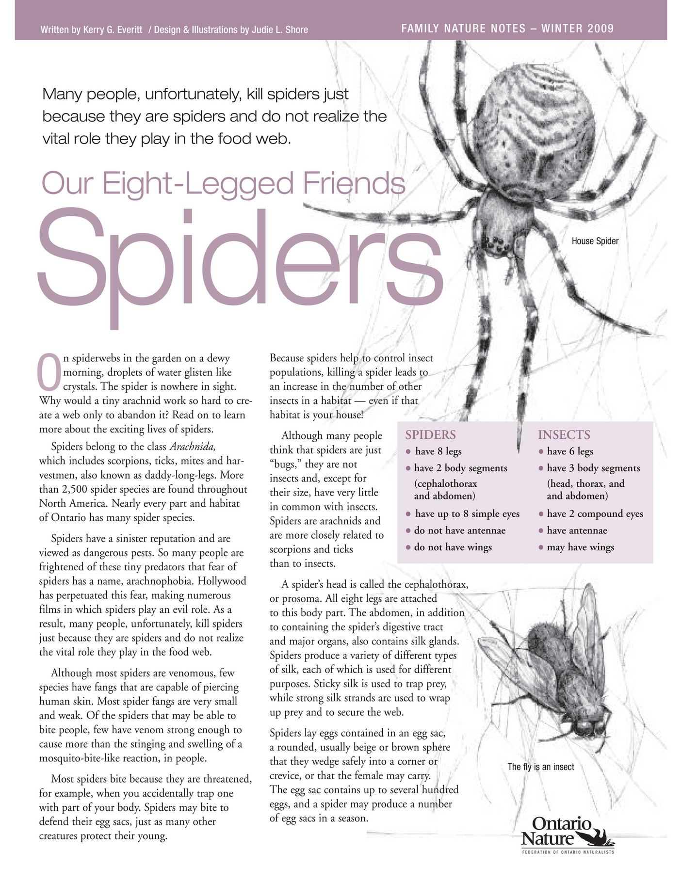Nature Notes, Spiders, Winter 2009 - Page 1