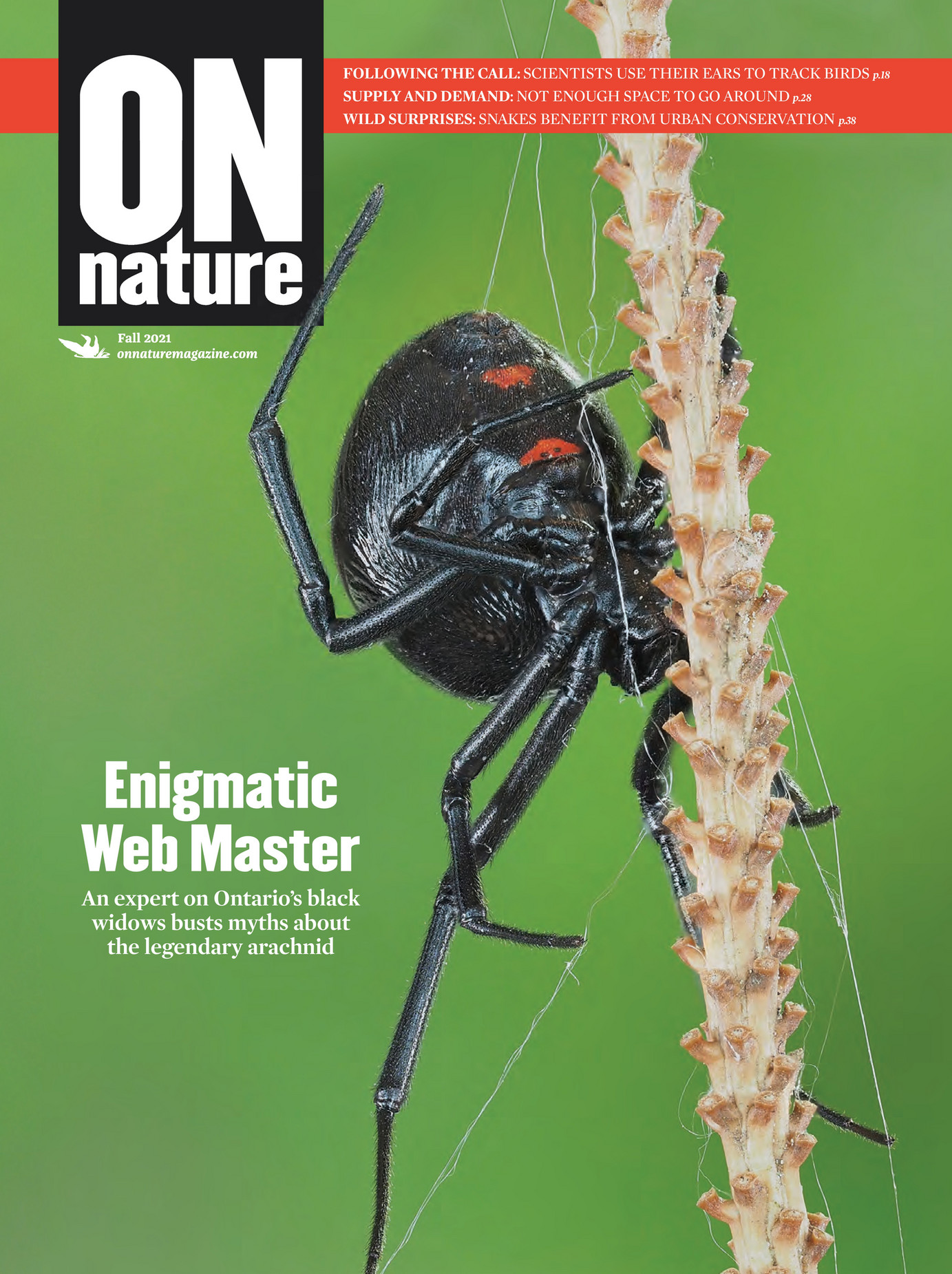 ON Nature magazine - Fall 2021 - Page 1