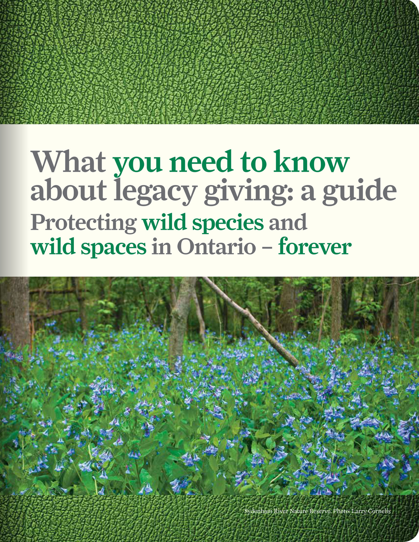 Ontario Nature Legacy Giving Guide 2021 - Page 1