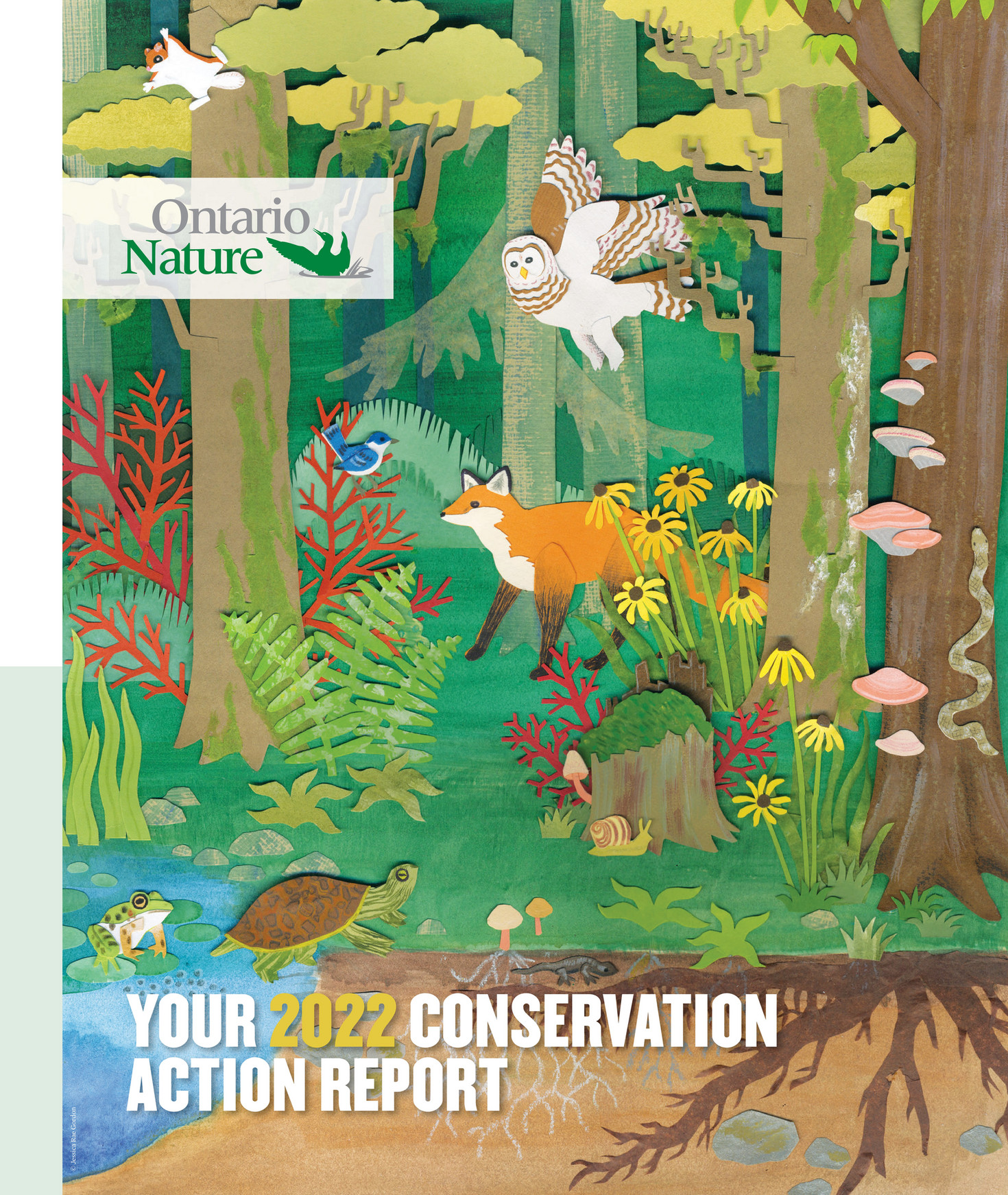 ON Nature magazine - Conservation_Action_Report_2022 - Page 1
