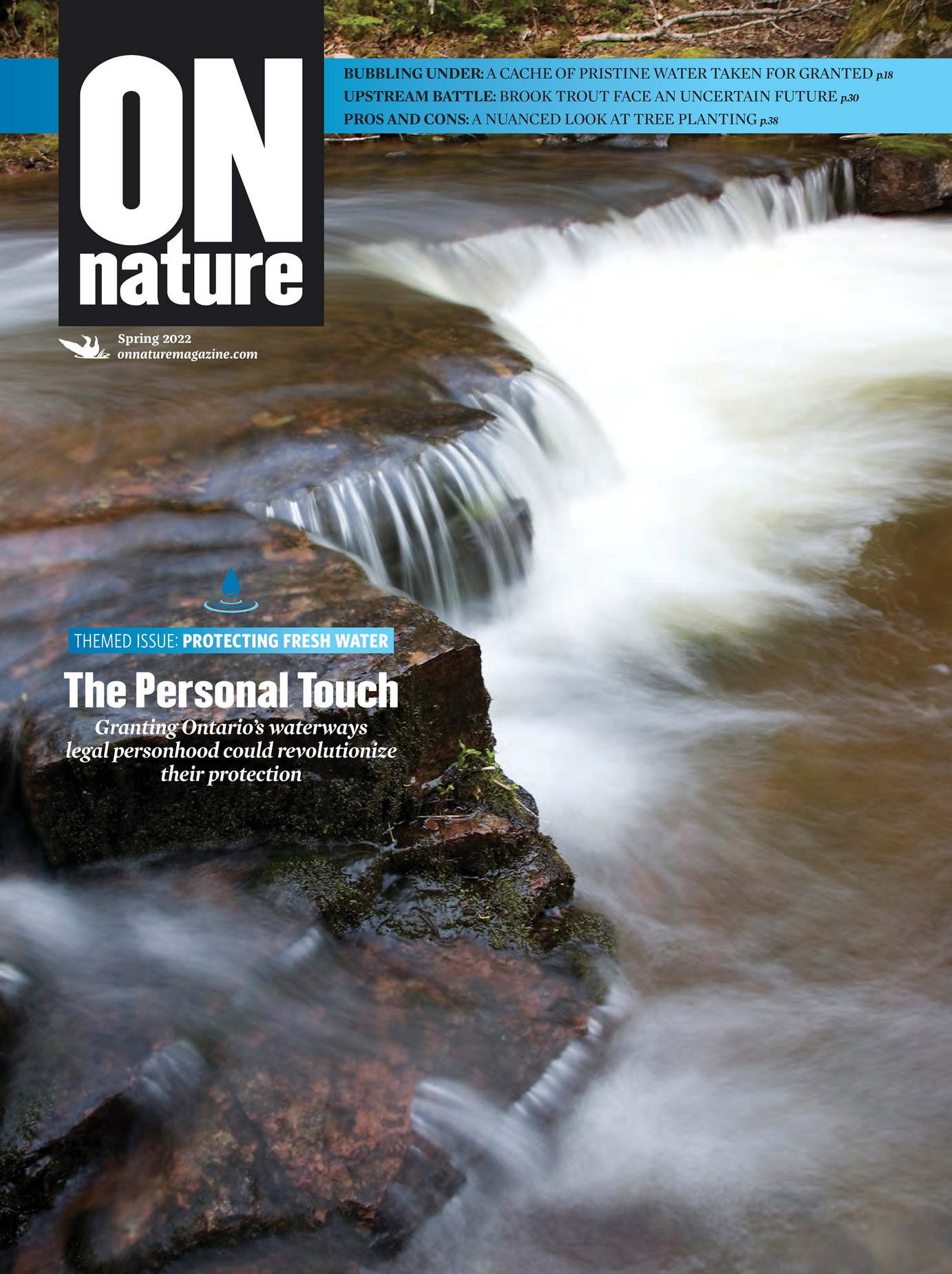 ON Nature magazine - Spring 2022 - Page 4-5