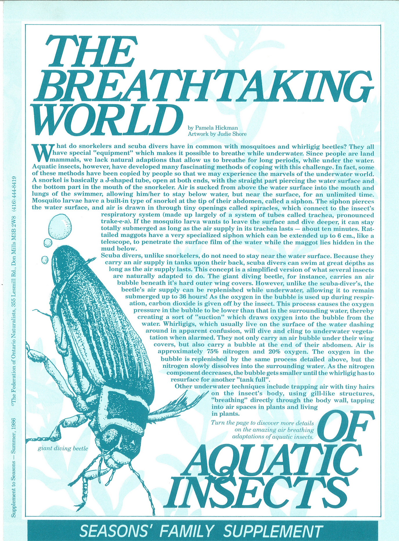 ON Nature magazine 1986 summer aquatic insects - Page 1