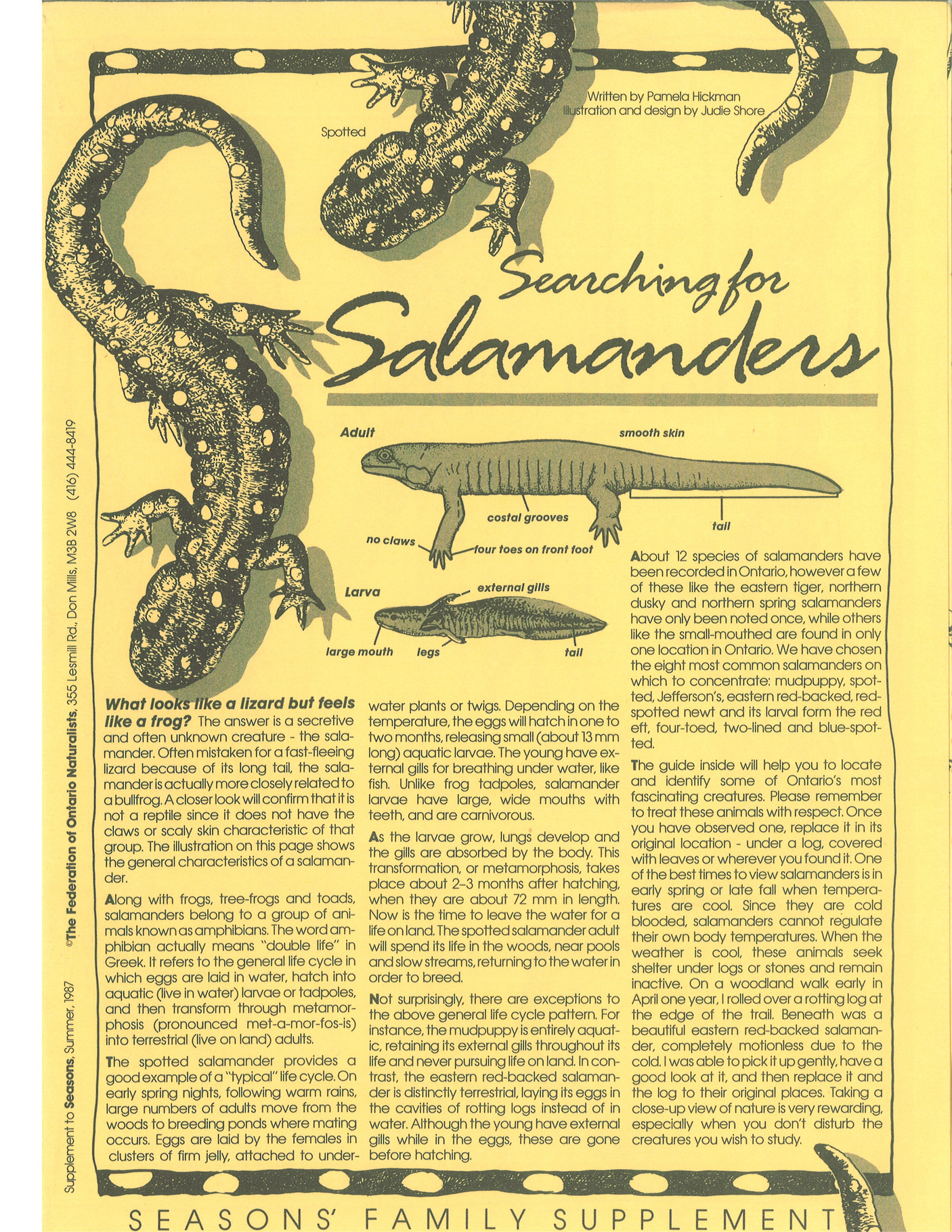 ON Nature magazine 1987 summer salamanders - Page 1