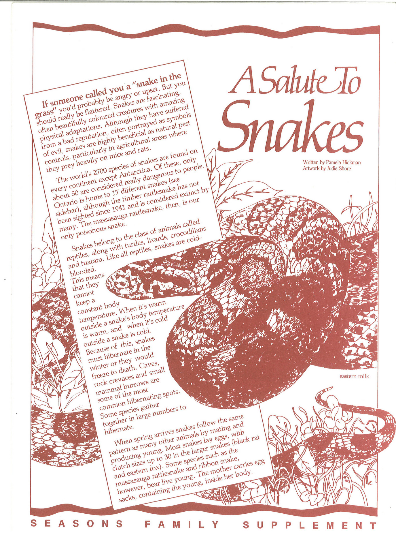 ON Nature magazine 1988 summer snakes - Page 1