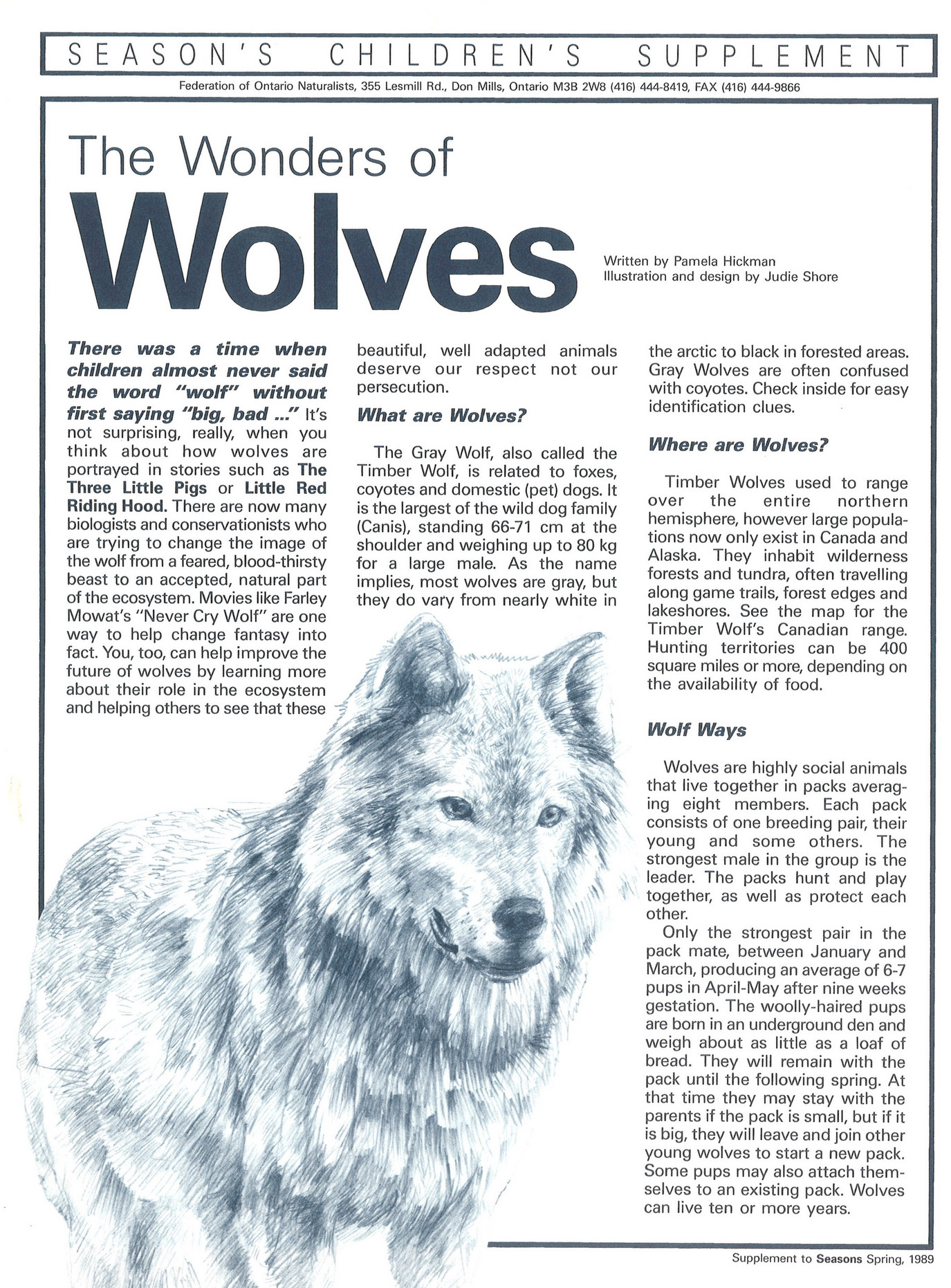 ON Nature magazine 1989 spring wolves - Page 2-3
