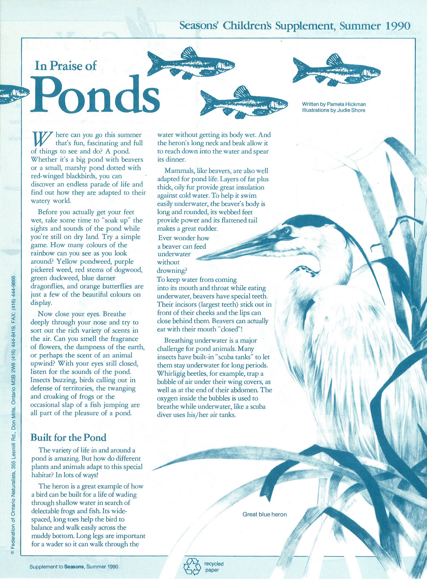 ON Nature magazine 1990 summer ponds - Page 1