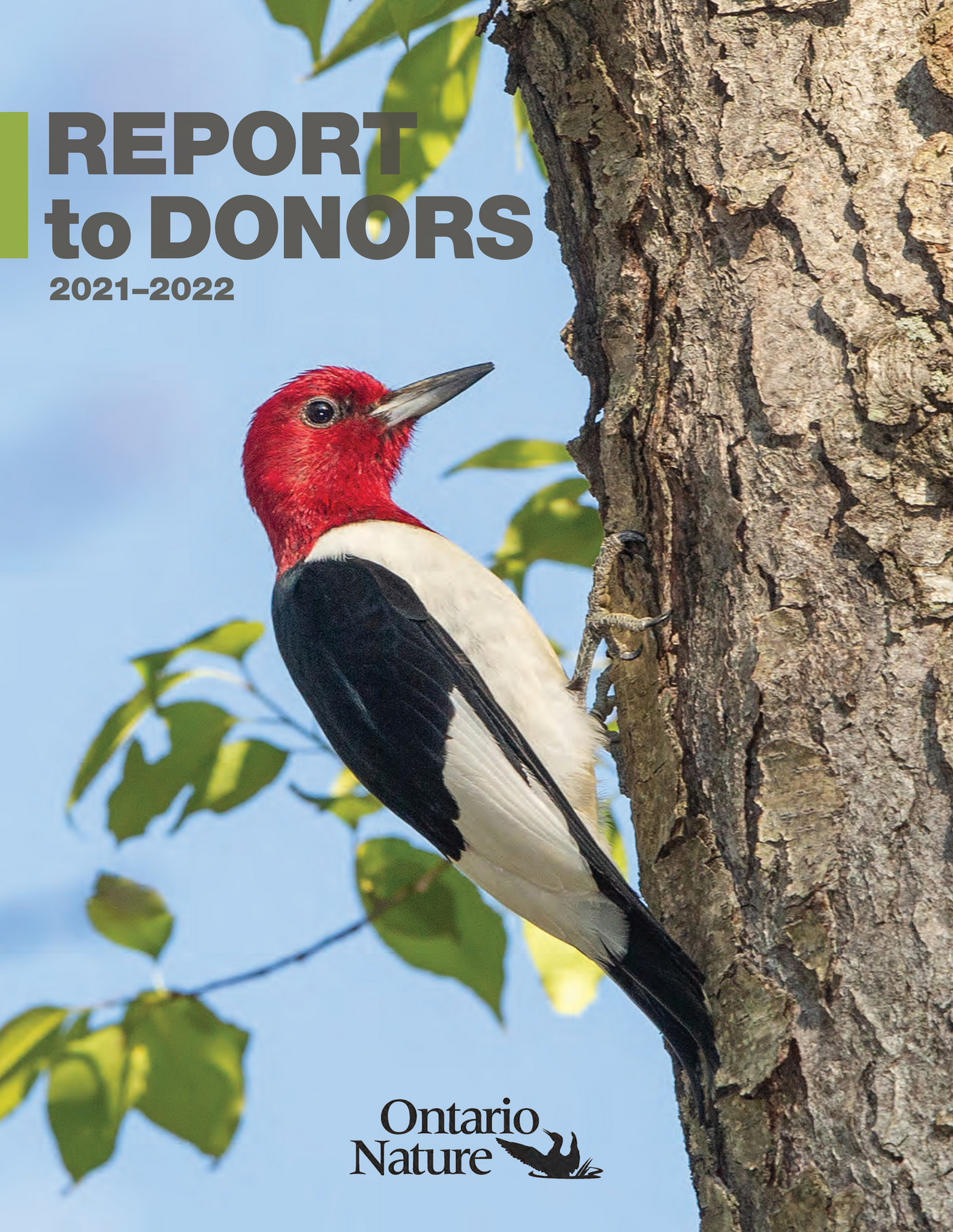 ON Nature magazine - annual-report-2021 - Page 1