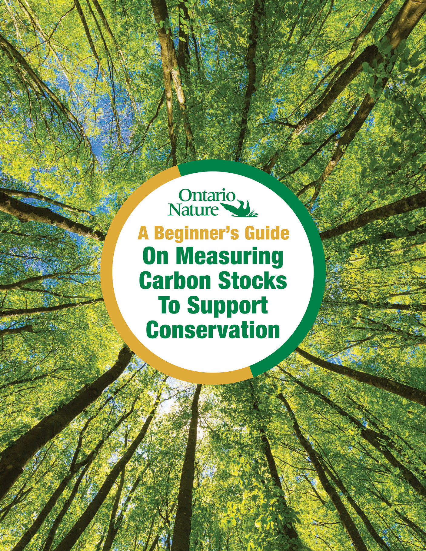 A Beginner’s Guide On Measuring Carbon Stocks To Support Conservation ... A Beginner’s Guide On Measuring Carbon Stocks To Support Conservation ...