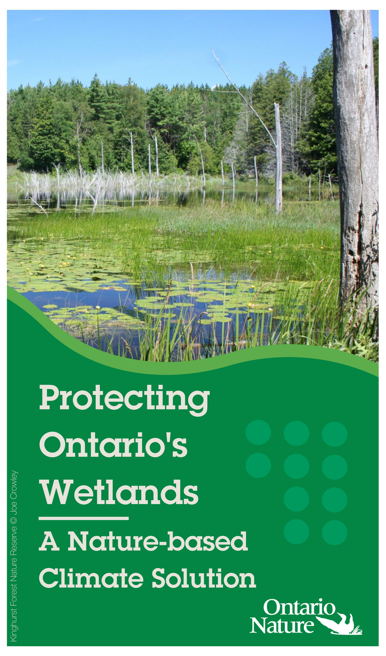 Protecting Ontario's Wetlands A Nature-based Climate Solution - Page 1