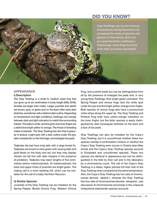 Ontario Reptile and Amphibian Atlas Publication - Page 44-45