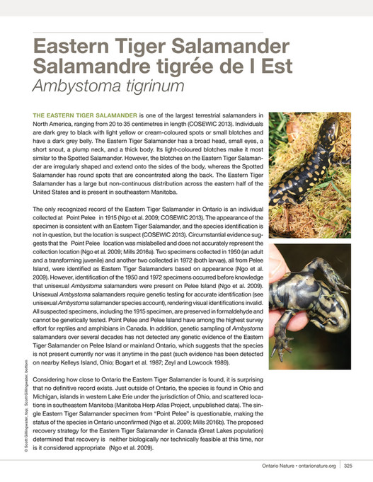 Ontario Reptile and Amphibian Atlas Publication - Page 322-323