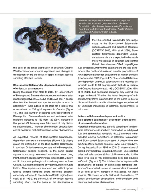 Ontario Reptile and Amphibian Atlas Publication - Page 126-127
