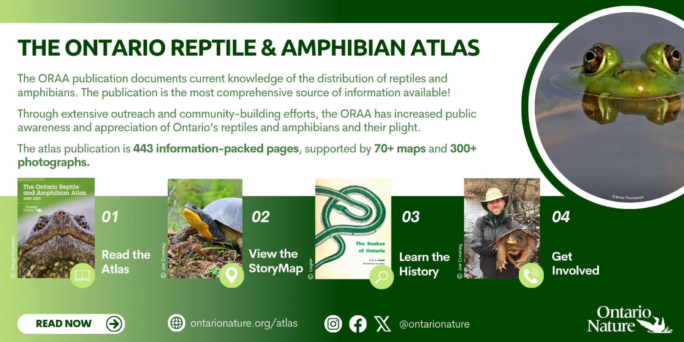 ON Nature magazine - Ontario_Nature_ORAA_Infographic - Page 1