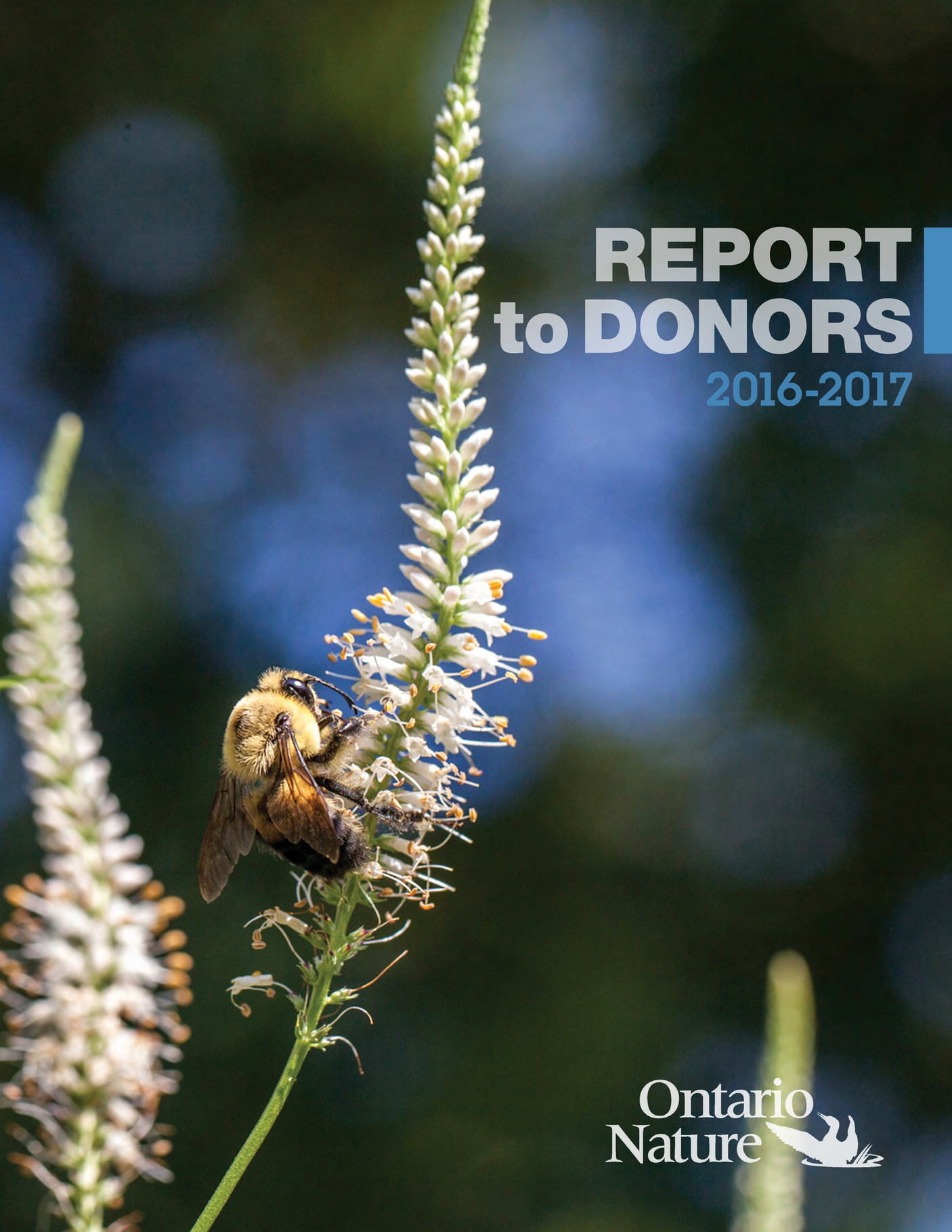 Ontario Nature Annual Report 2016-17 - Page 1