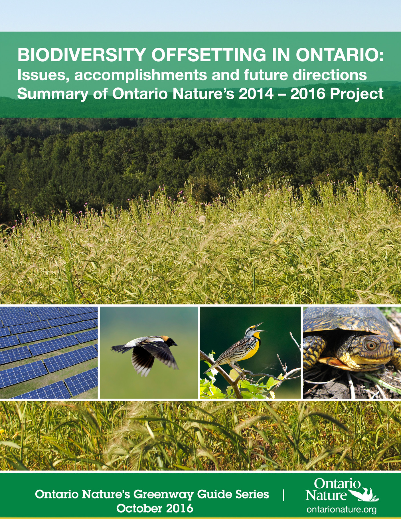 ON Nature magazine - Biodiversity Offsetting in Ontario - Page 1