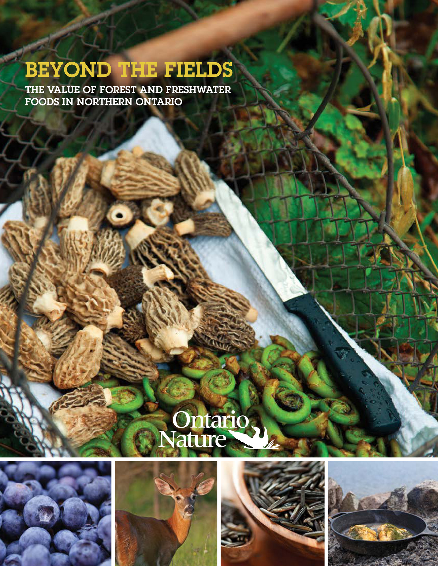 The Value of Forest and Freshwater Foods in Northern Ontario - Page 1