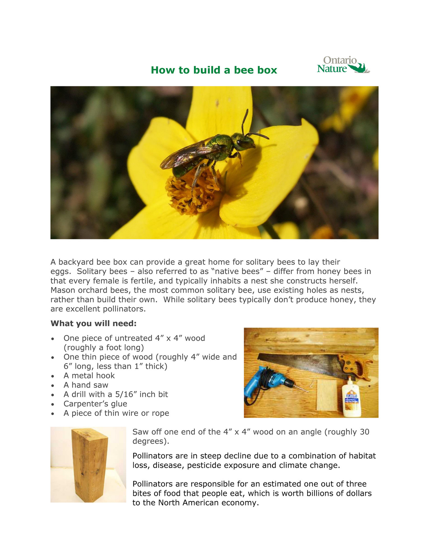 ON Nature magazine - How to build a bee box - Page 1