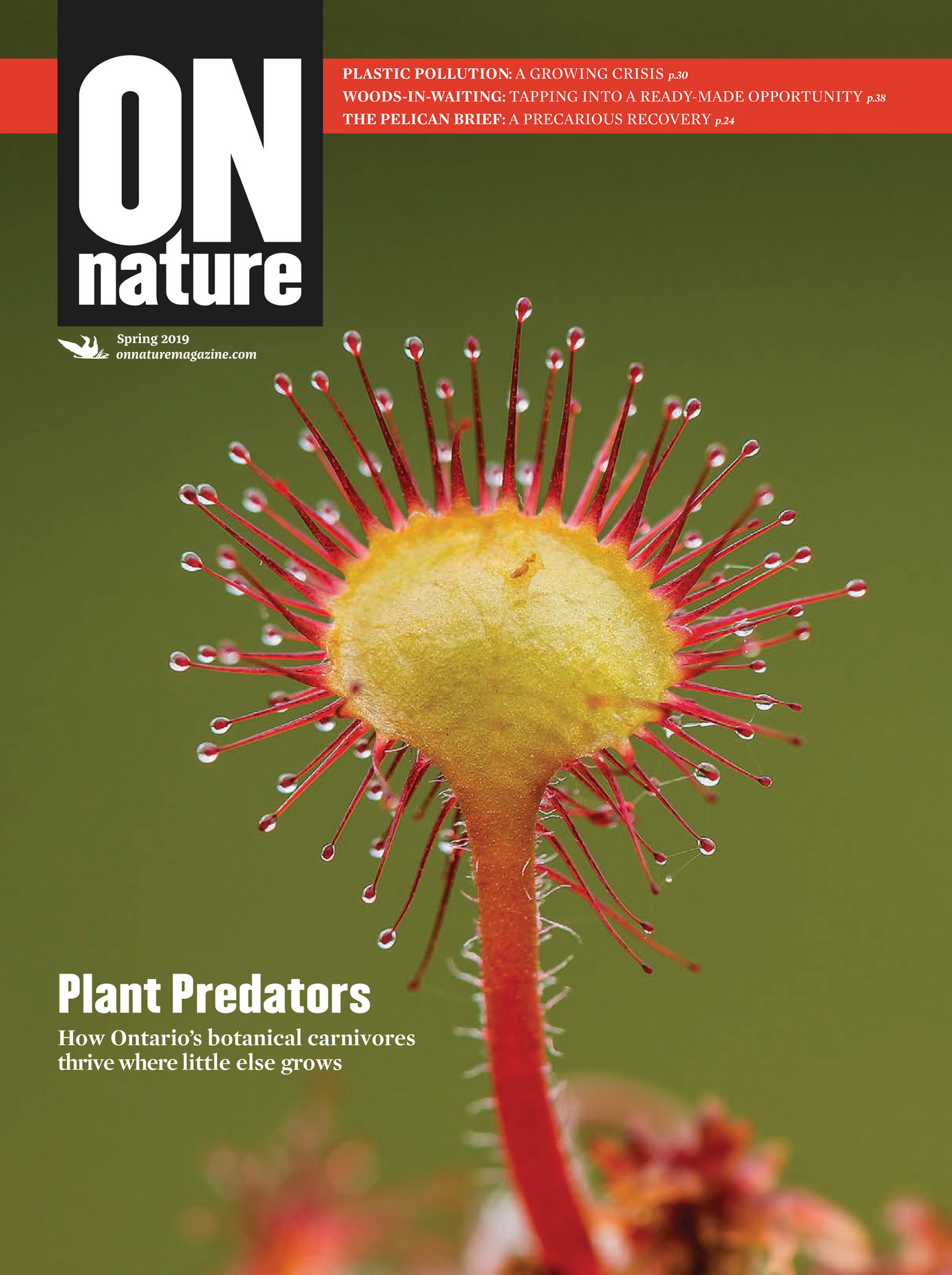 ON Nature magazine - Spring 2019 - Page 16-17