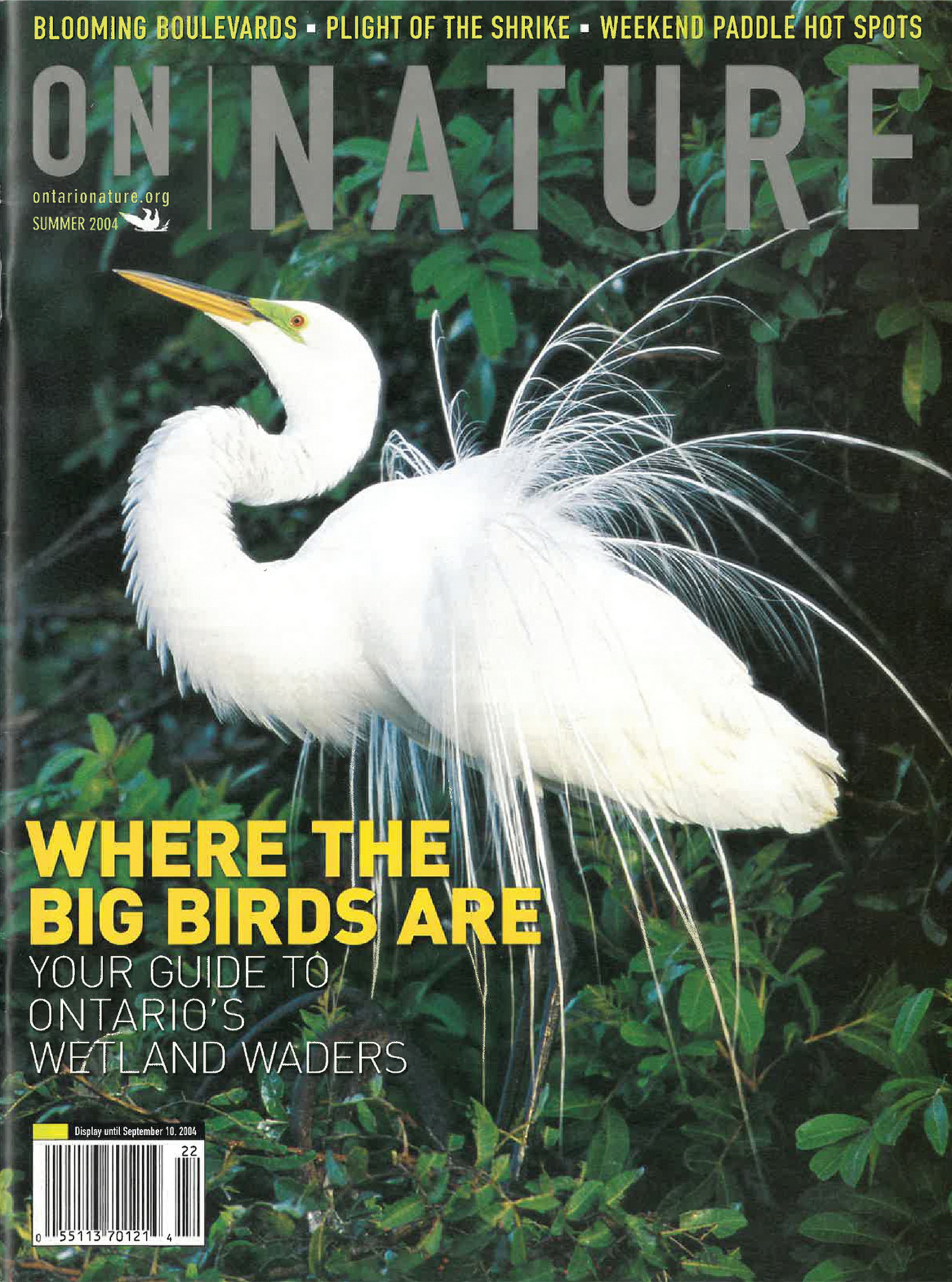 ON Nature magazine - Summer_2004 - Page 2-3