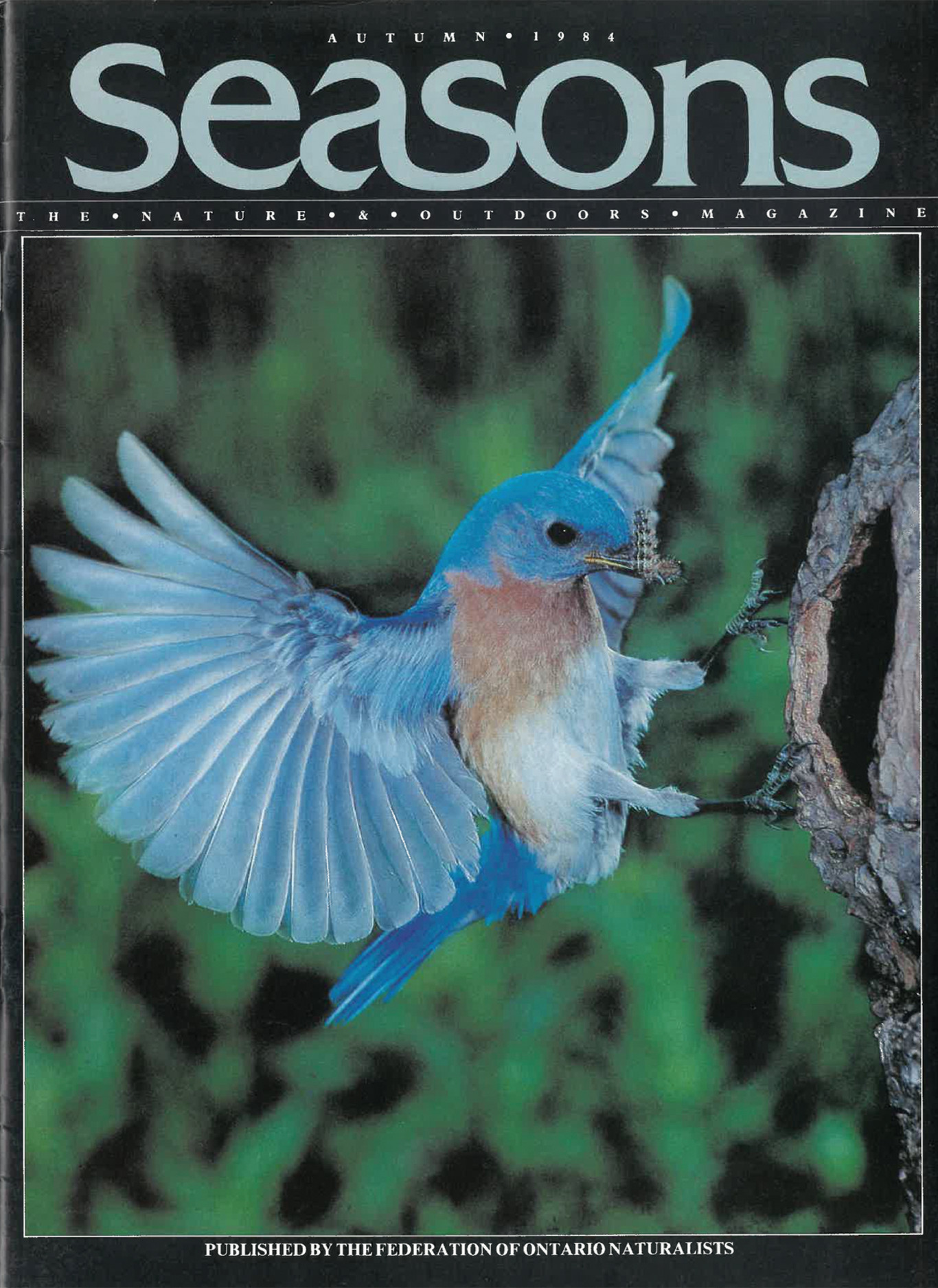 ON Nature magazine - Autumn_1984 - Page 2-3