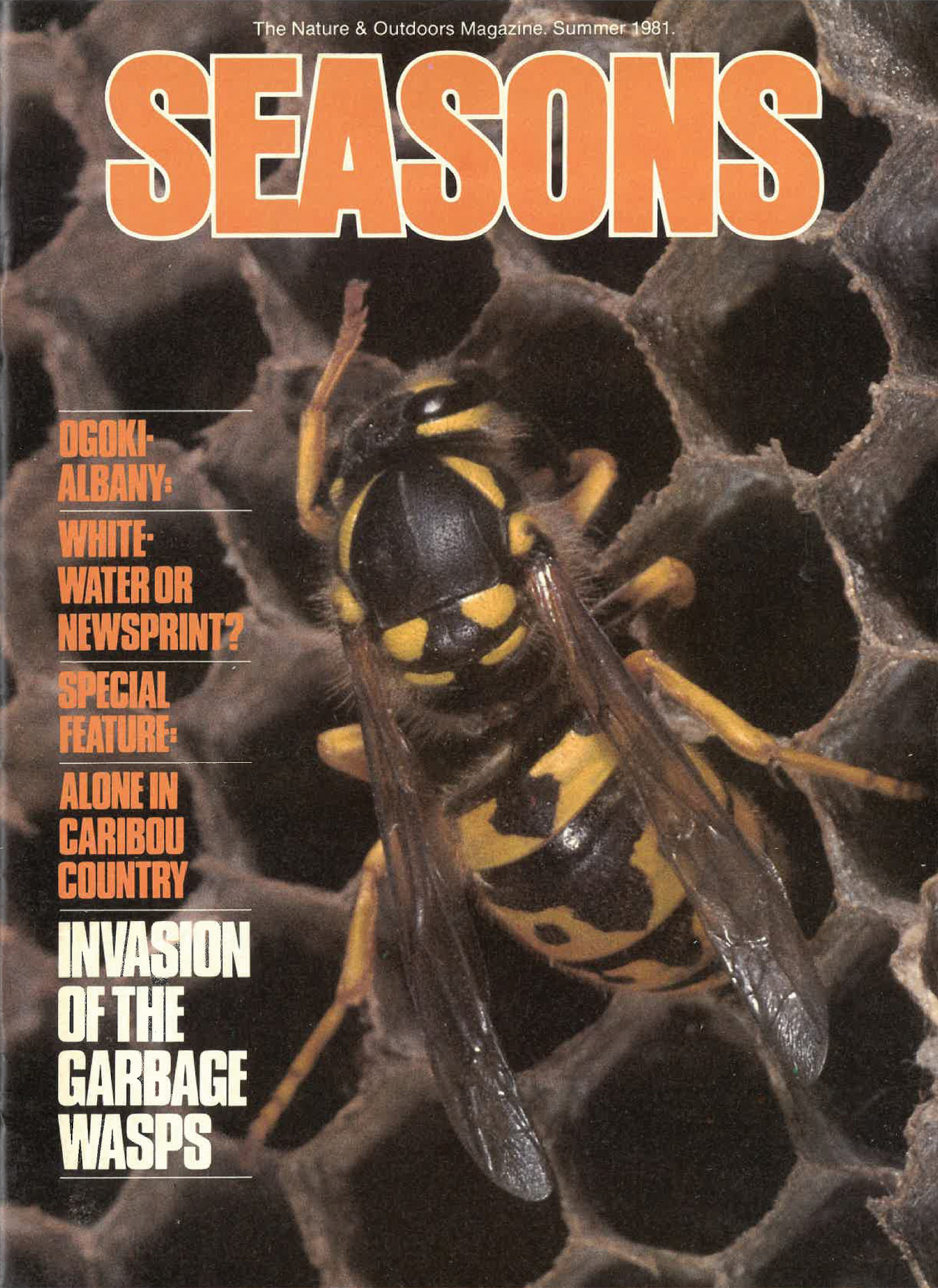 ON Nature magazine - Summer_1981 - Page 1