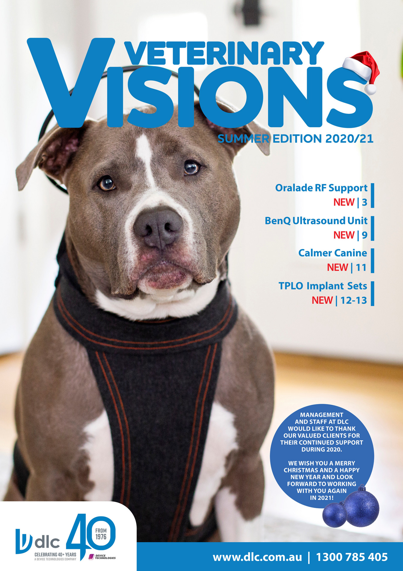 DLC Vet Pty Ltd - Summer Vet Visions 2020/2021 - Page 1 - Created with ...