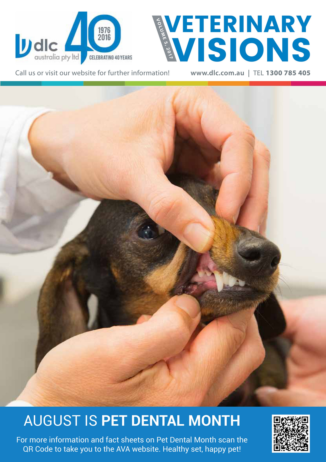 DLC Vet Pty Ltd - Volume 5 Veterinary Visions 2017 - Page 1 - Created ...