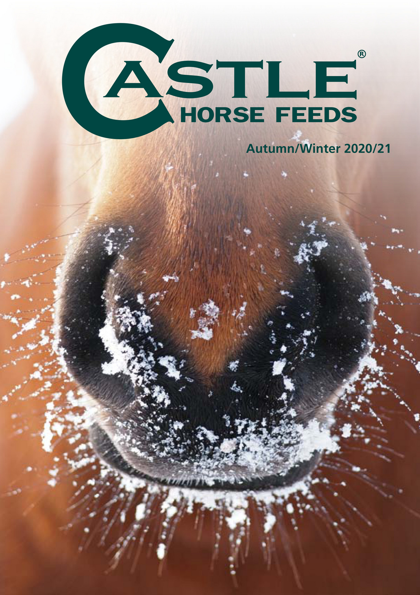 Castle Horse Feeds - Castle Horse Feeds Brochure Autumn Winter 2020 ...