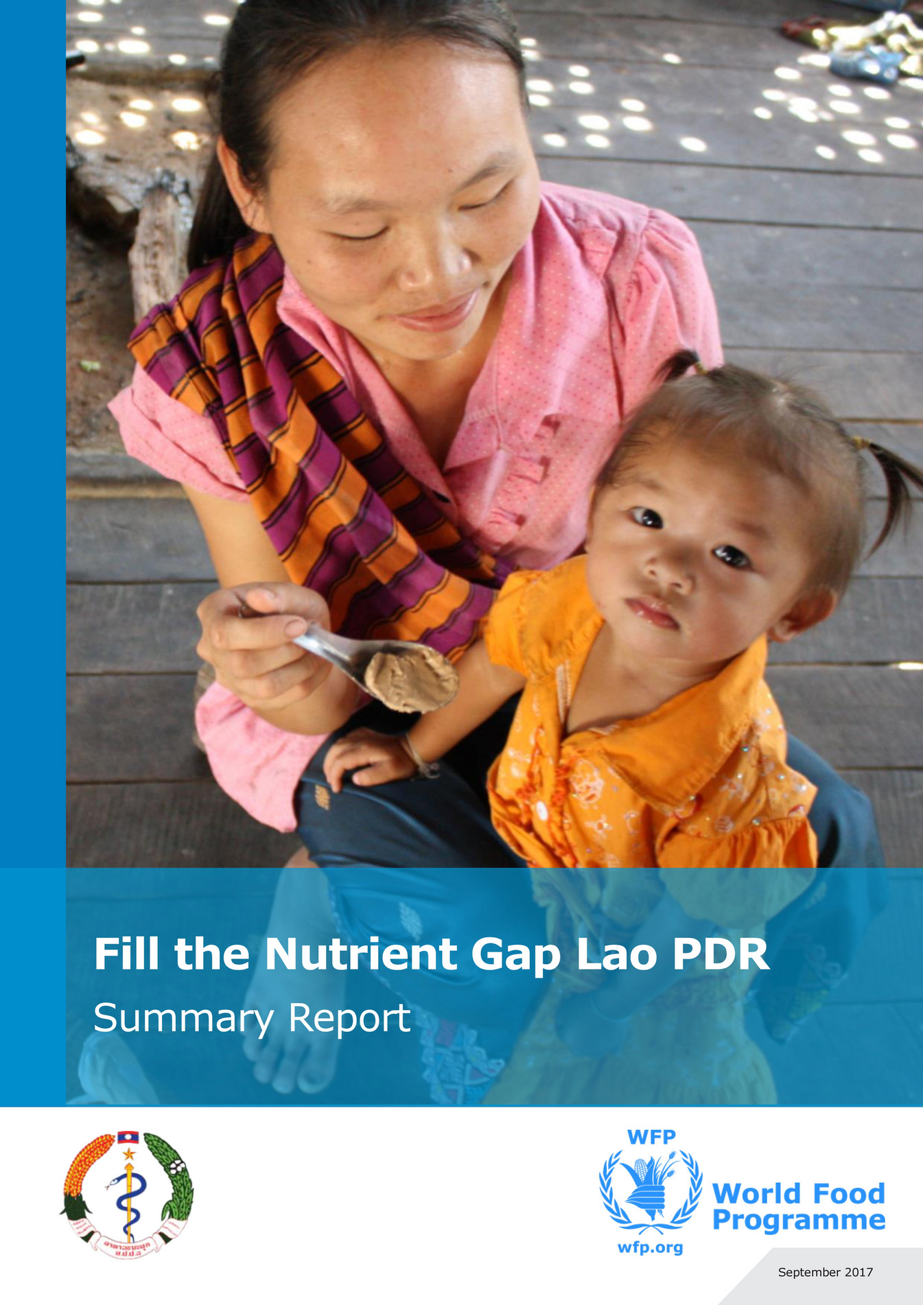 My publications - Lao PDR Fill the Nutrient Gap Analysis - Page 2-3 ...