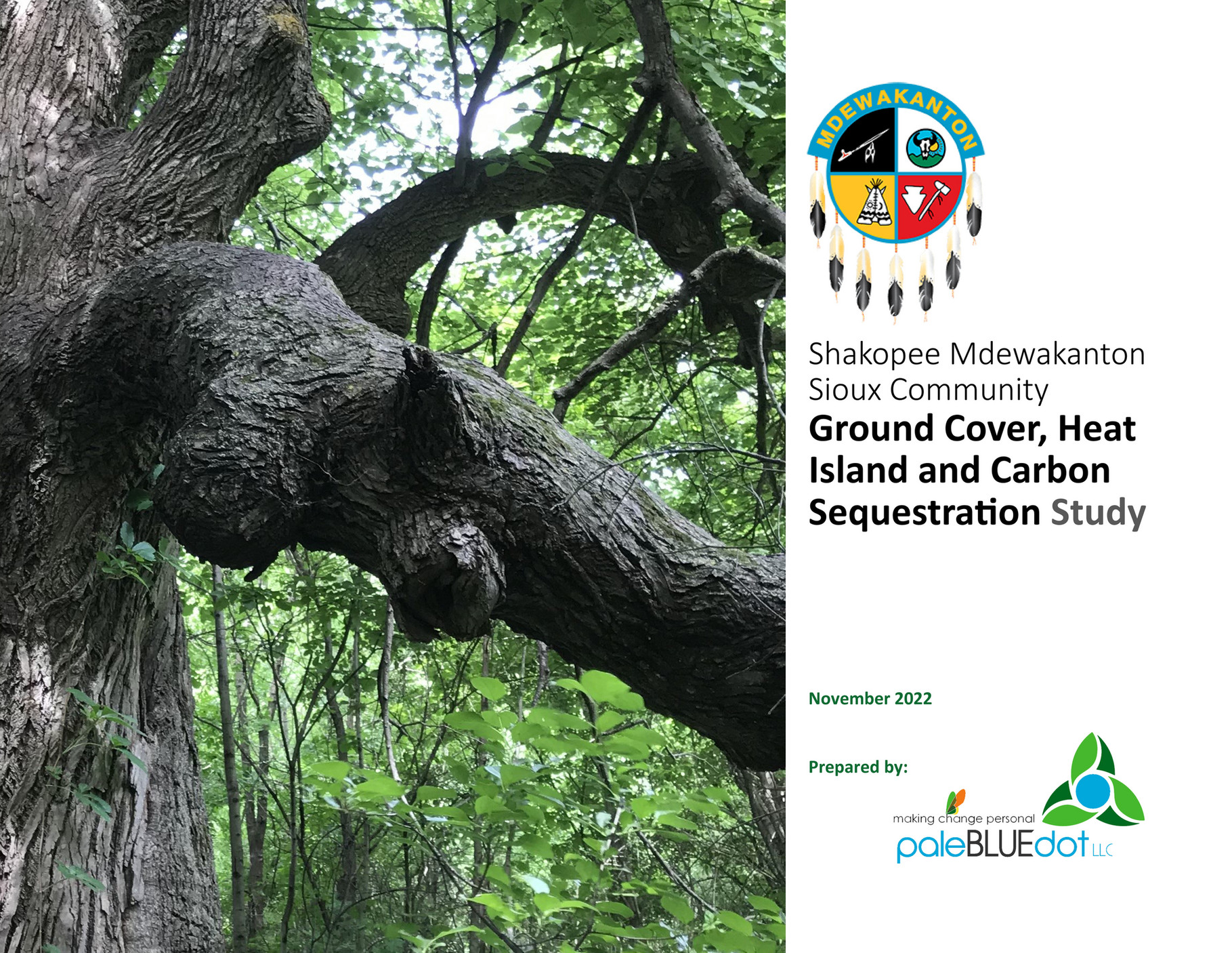 paleBLUEdot - SMSC Ground Cover and Carbon Sequestration Study - Page 1 ...