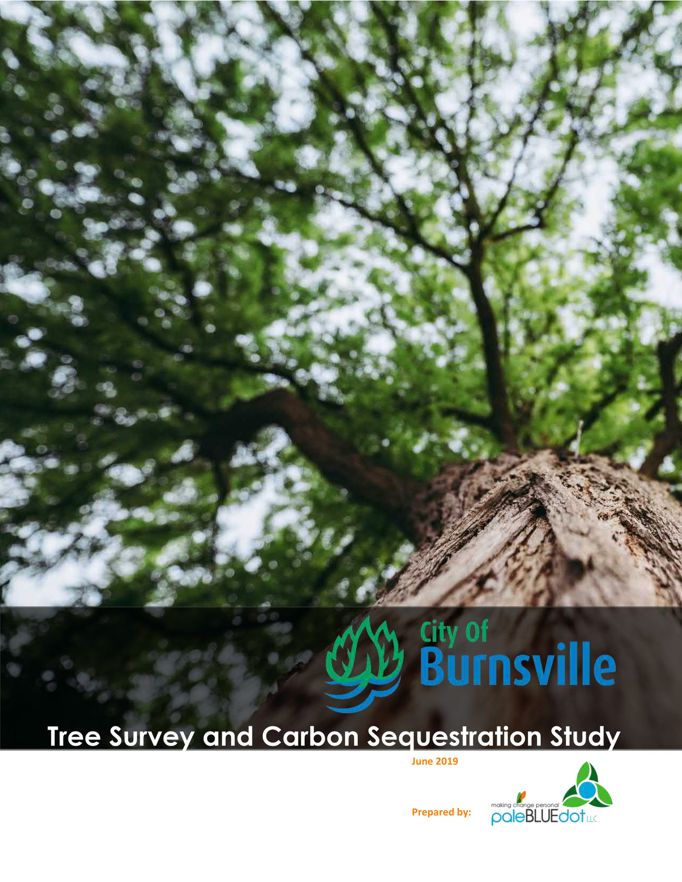 paleBLUEdot - Burnsville Tree Canopy Survey Report - Page 1 - Created ...