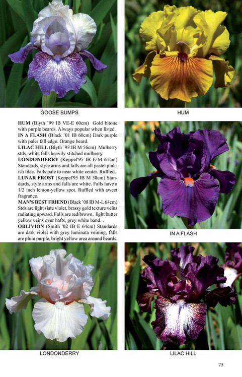 Rainbow Ridge Catalogue 2019 - Page 76-77 - Created with Publitas.com